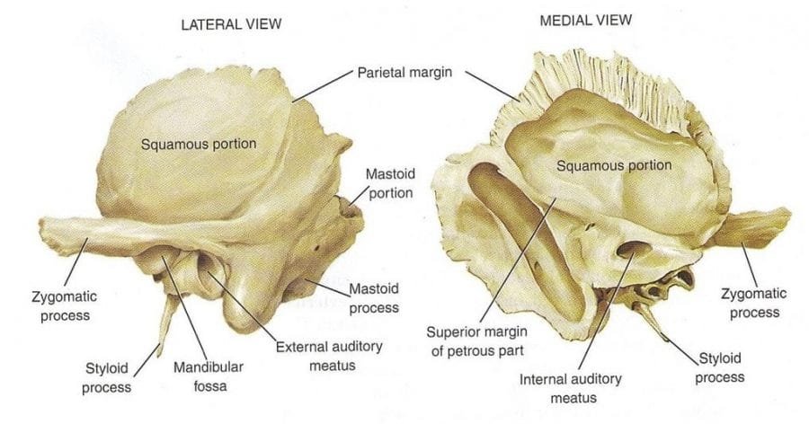 Temporal bone cancer staging systems - Head & Neck Cancers